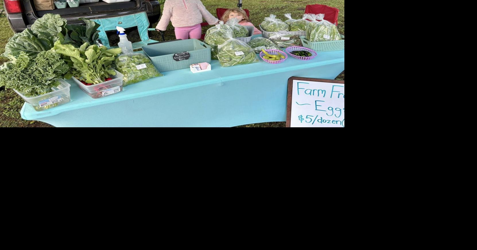 Seasonal bounty abounds at Cave Spring’s Community Market | Local News ...