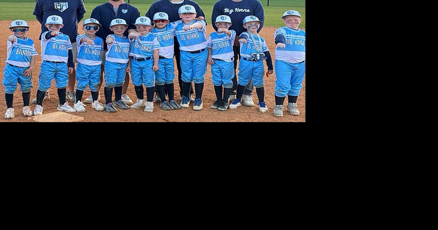 Big Horns baseball team wins Gold Bracket | | northwestgeorgianews.com