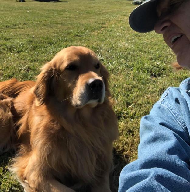 Calhoun Canines takes dog training digital | The Calhoun Times ...