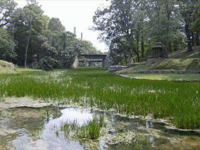 Historic Walker County: Crawfish Spring | | northwestgeorgianews.com