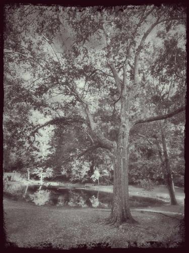 The Ghosts of Cave Spring: Upcoming tours offer a glimpse into the past ...