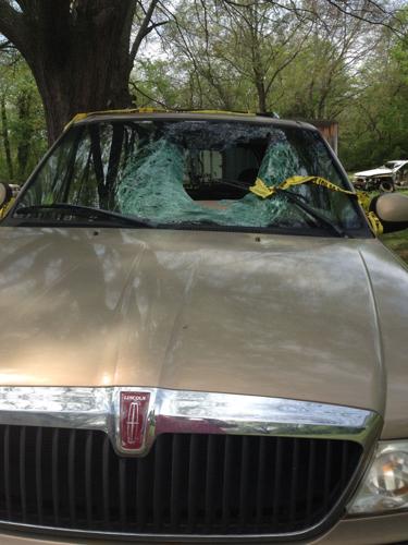 Turkey goes through windshield of SUV on I-75 | Police/Fire news ...