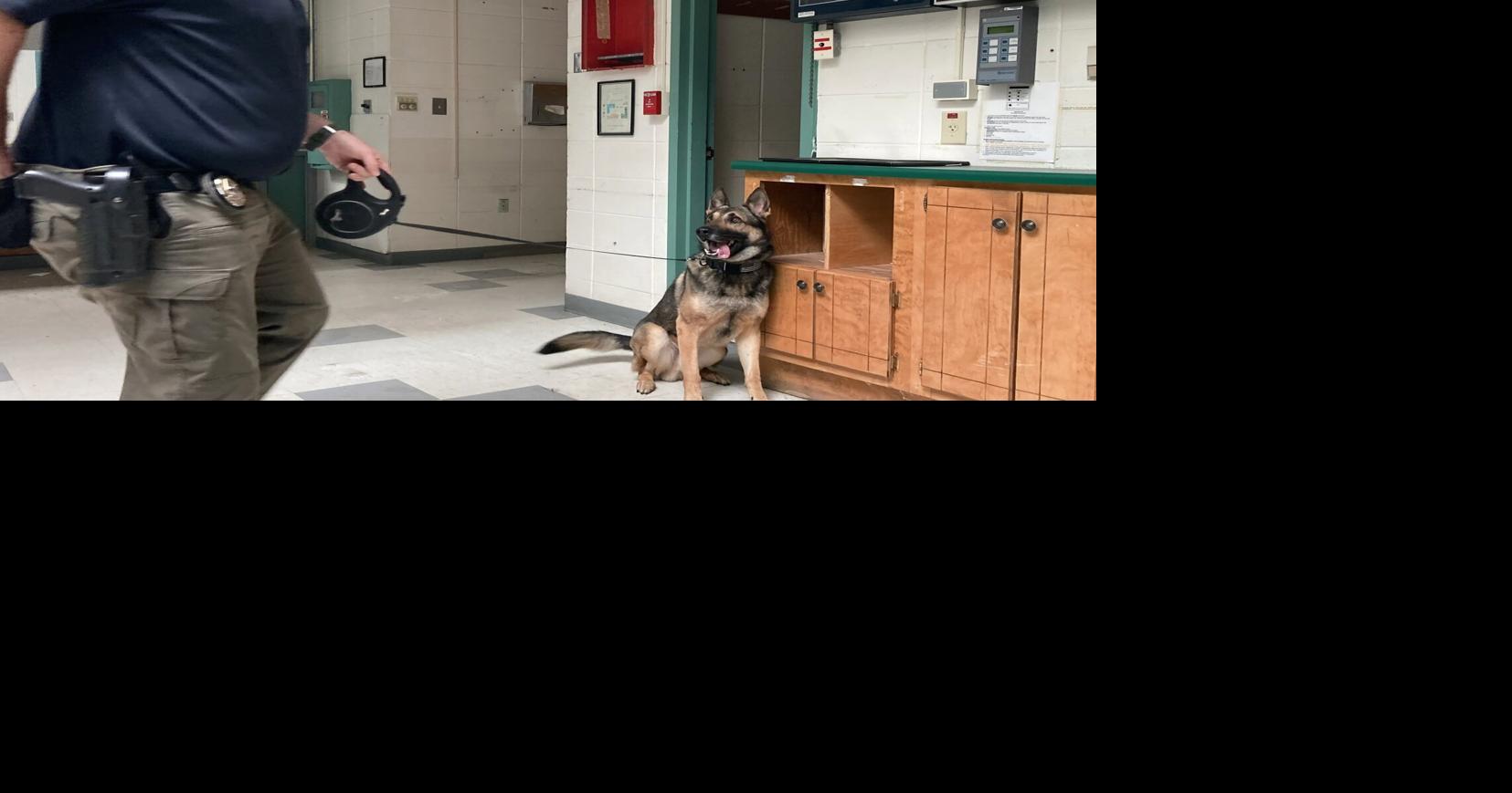 Floyd County Police Host K9 Bomb Dog Training At Battey Property ...