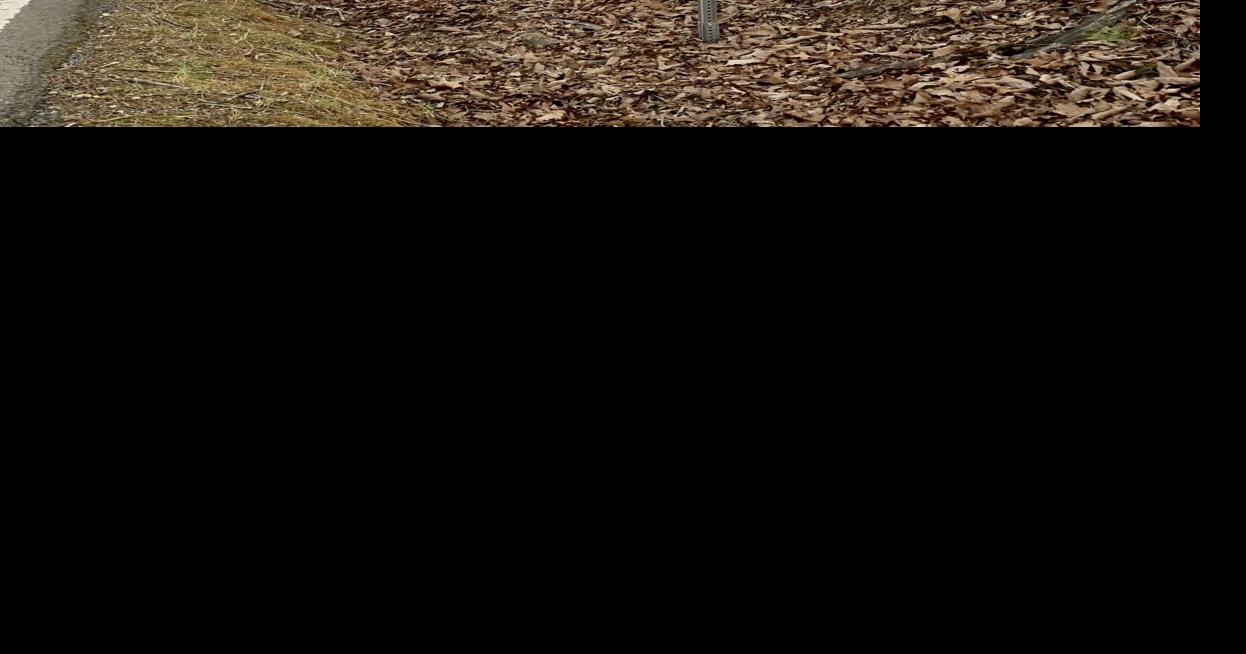 'Drive safely, in memory of Alex Crumbley' | Bigstory ...