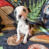 Our view: Courage under fire saved downtown Rome | Editorials ...