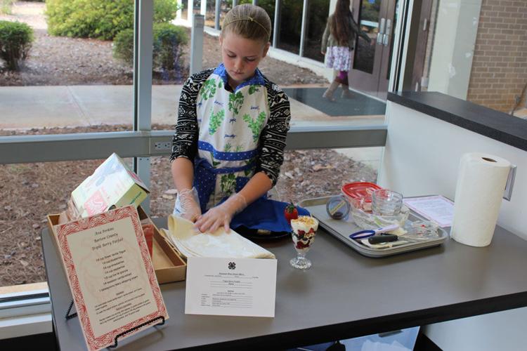 4-H Cloverleaf projects | Gallery | northwestgeorgianews.com