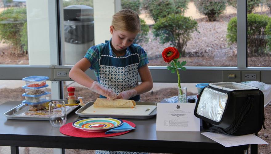 4-H Cloverleaf projects | Gallery | northwestgeorgianews.com