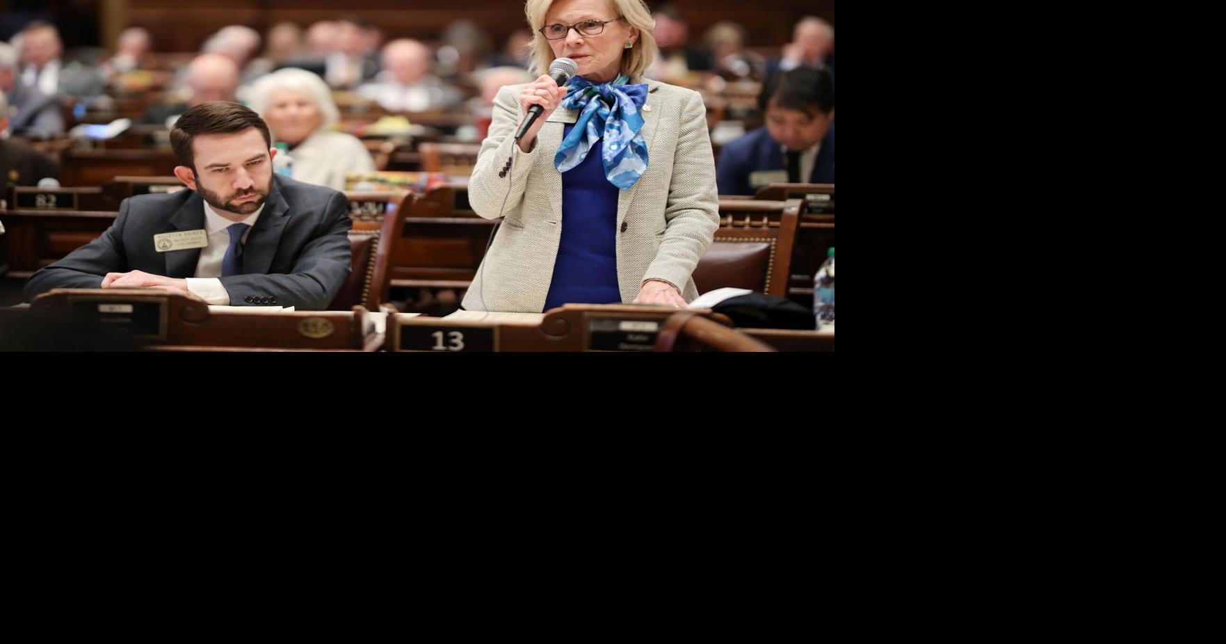 Local Lawmakers Move Into Final Days of Georgia General Assembly ...