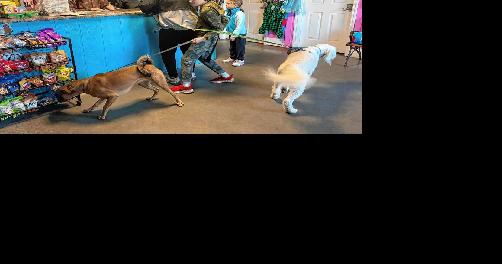 Counting down the decades at Dippity Do-Da Dogs | Business ...