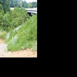Hardin Bridge boat ramp plans expanding | | northwestgeorgianews.com