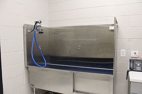 Animal Control building 'rises from the ashes' | The Calhoun Times ...