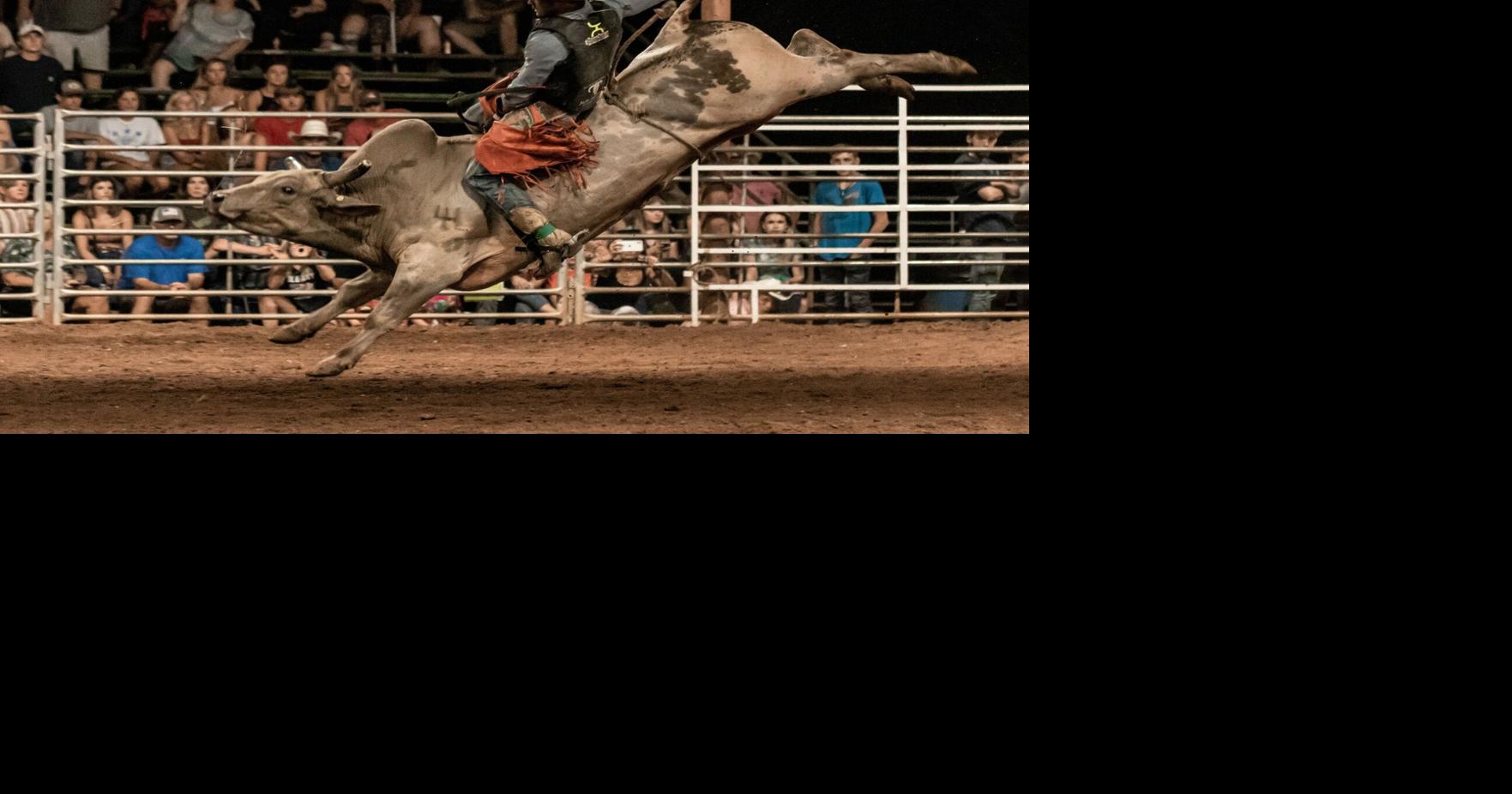 Rodeo time in Bartow County | Local | northwestgeorgianews.com