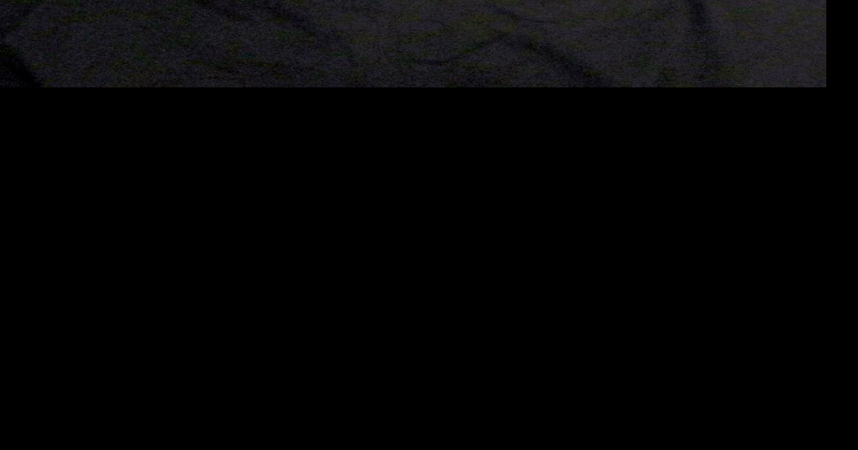 Suspect in Callier Forest Apartments killing charged with murder ...