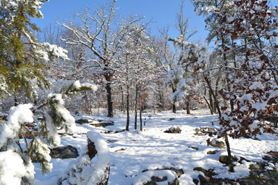 Snow days | Cherokee County | northwestgeorgianews.com