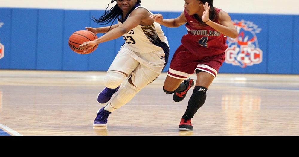 PREP BASKETBALL: Armuchee, Cartersville girls wrap up tourney with wins ...