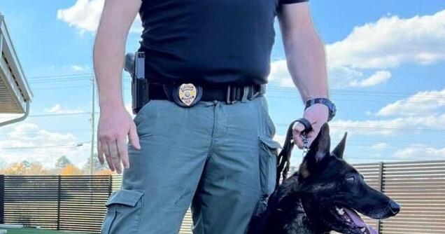 Calhoun Police K-9s Get Donated Safety Gear | Police/Fire ...