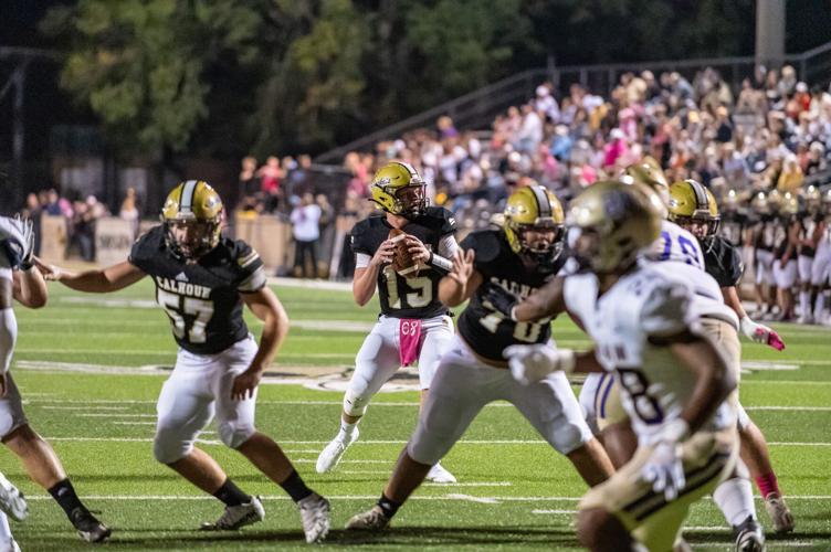 Hornets stun Jackets in battle of the bees | High School ...