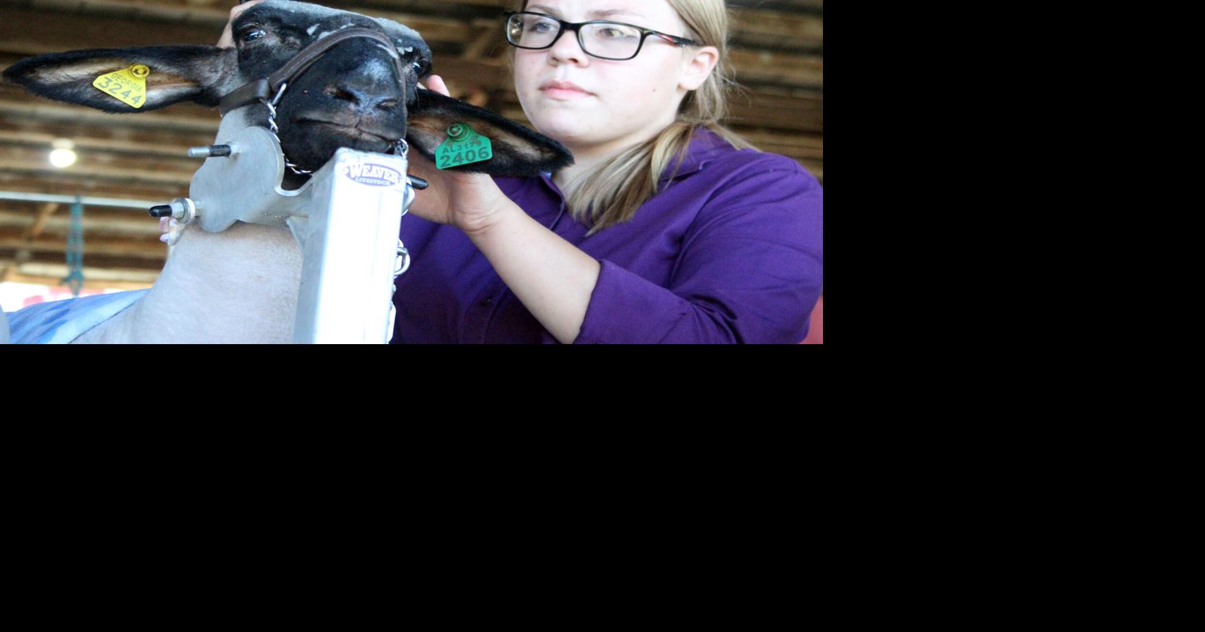 PHOTOS: First Day of 2024 Polk County Fair | Gallery ...