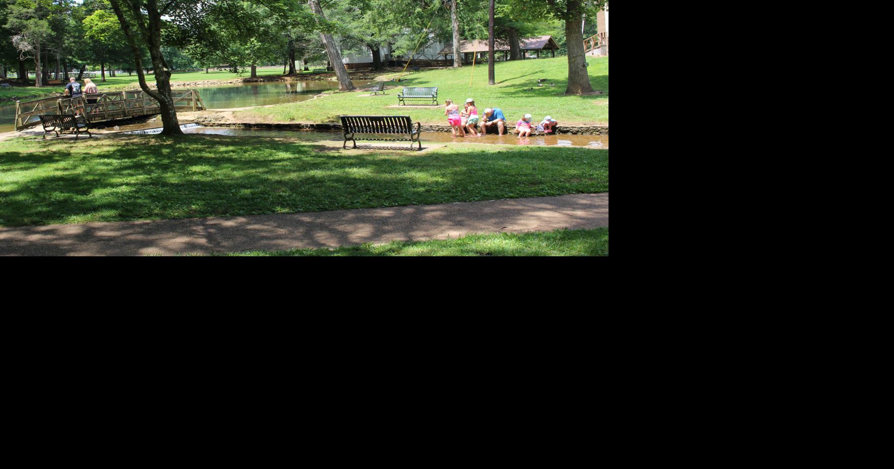 Cave Spring Awarded $12M State Loan for Water System Improvements ...