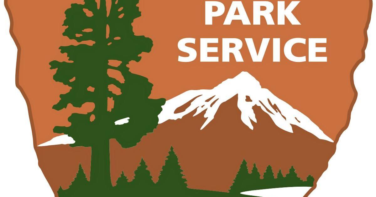 Biting the Bullet: Civil War Wounds Explored | Lifestyles ...