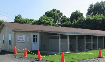 Calhoun Animal Control Vaccine and Adoption Clinic Oct. 21 | Gordon ...