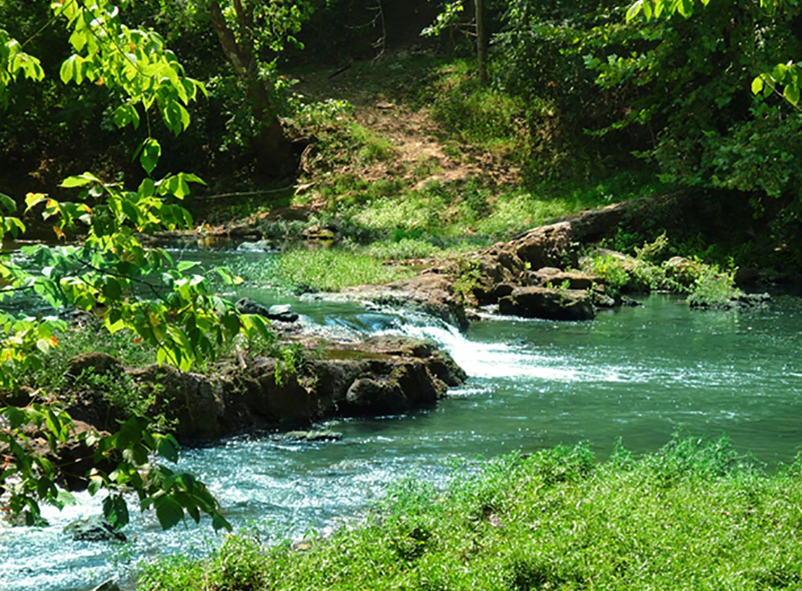 Catoosa County Parks and Recreation Department offering indoor and ...