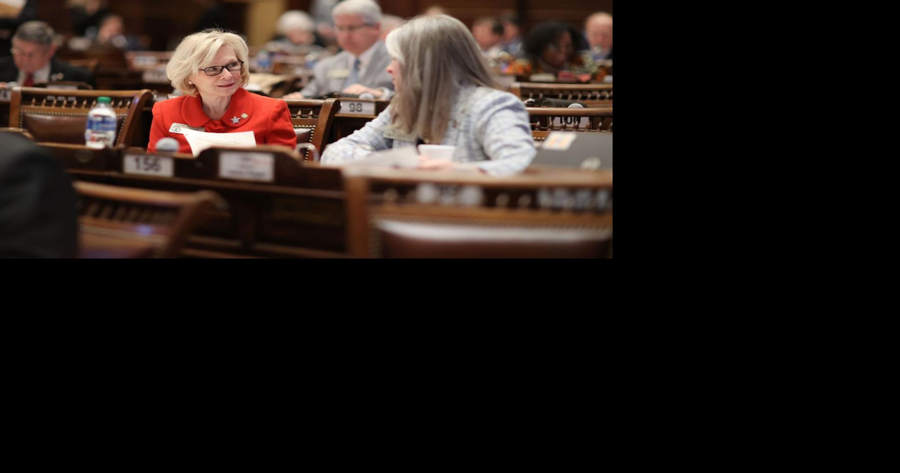 Local lawmakers at work in the Georgia General Assembly | Local News ...