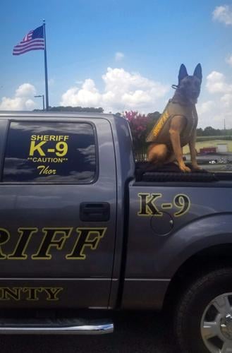 Sheriffs Office K9 Receives Body Armor Donation Local