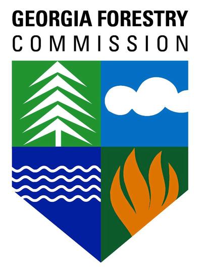 Forestry Commission warns people of internet burn permit scam | Local ...