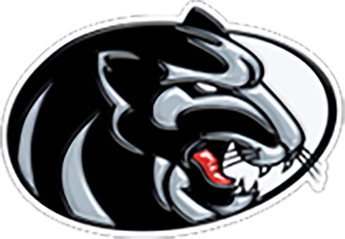 Ridgeland High School In Rossville Gets New Band Director Education