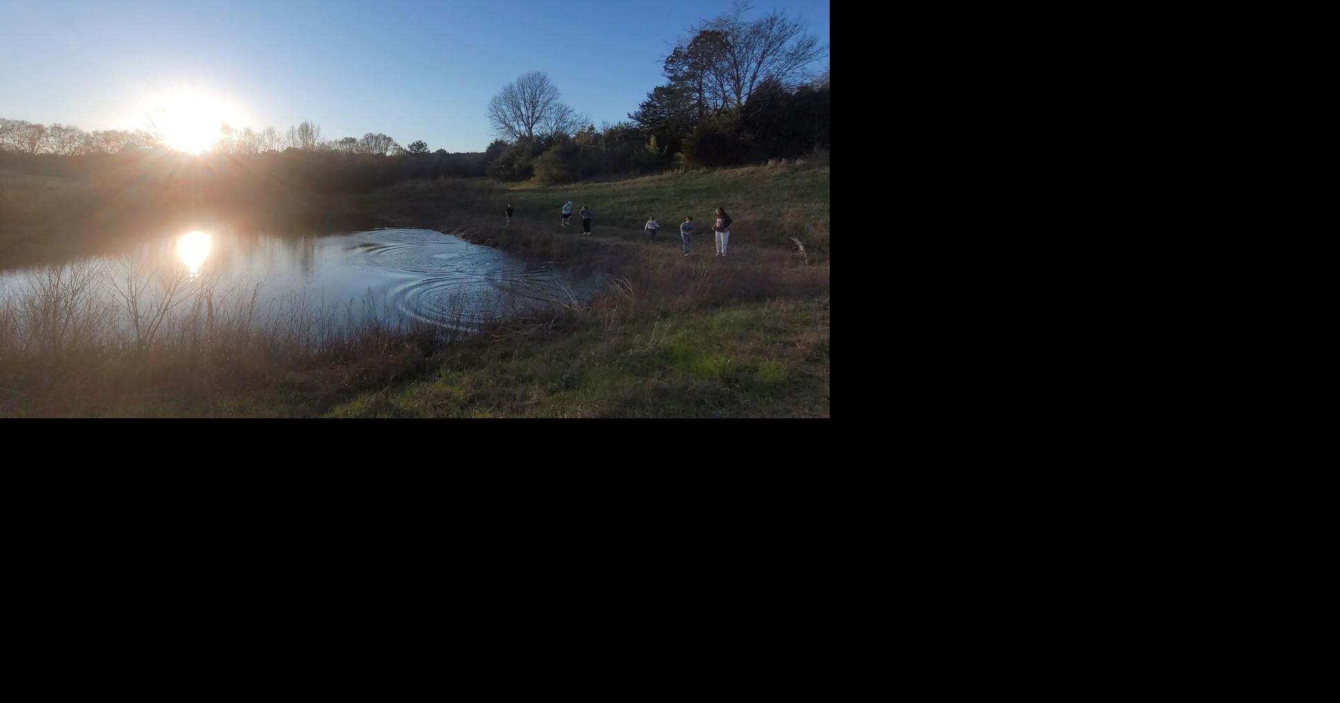 Safe Haven Ranch: A Place to Call Home | Local | northwestgeorgianews.com