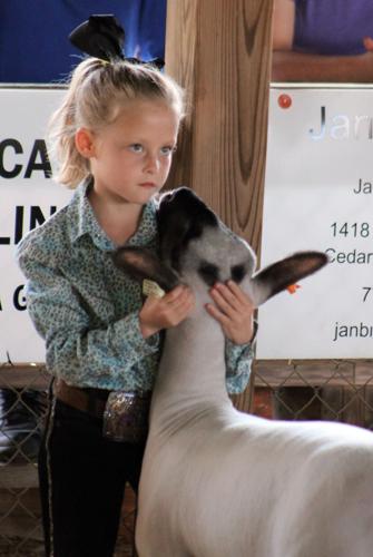 Fair brings rides, fun to town | | northwestgeorgianews.com