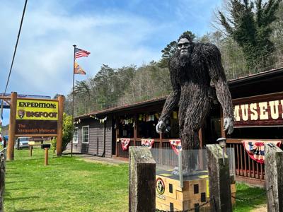 We may not be alone: Northwest Georgia has a history of Bigfoot ...