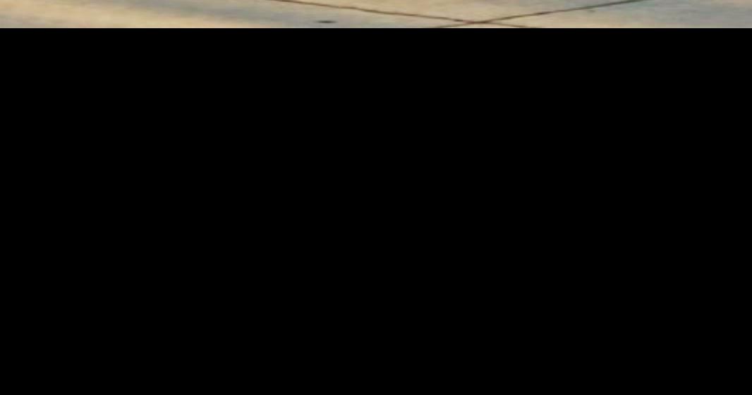 Calhoun Police Department gets new K-9 officer | The Calhoun Times ...