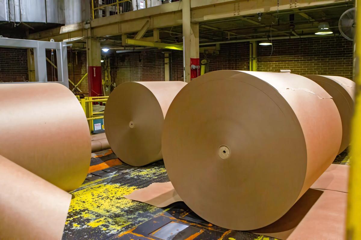 Paper, Pride, and Progress: 70 Years at International Paper's Coosa ...