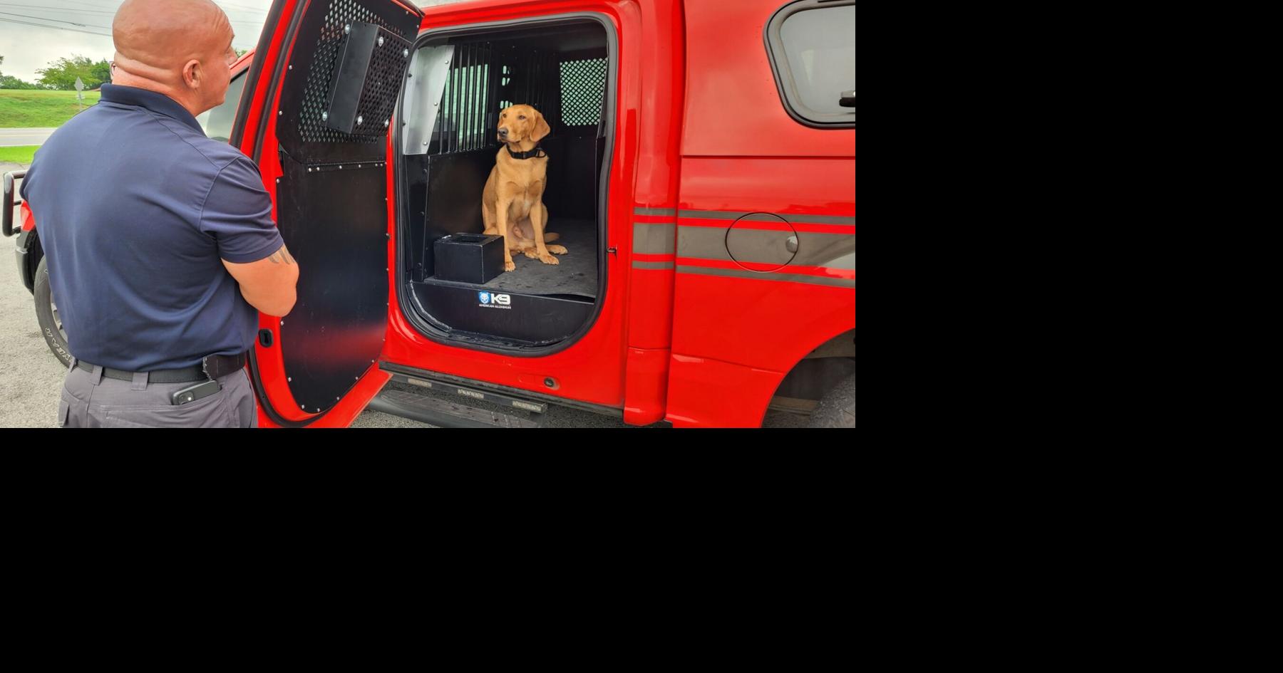 Meet Dozer, new member of the Walker County Fire Department | News ...