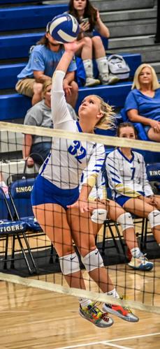 Lady Tigers fall to Wesleyan in first round | | northwestgeorgianews.com