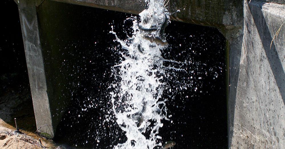 Go Fish: Trout Stocking Trucks Head Out to North Georgia Waterways ...