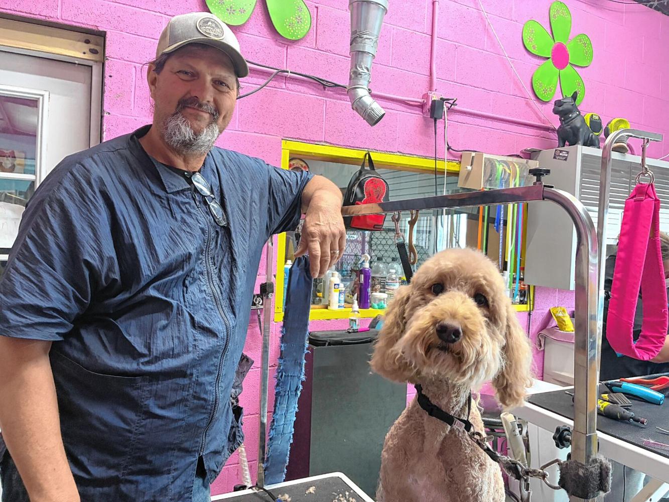 Counting down the decades at Dippity Do-Da Dogs | Business ...