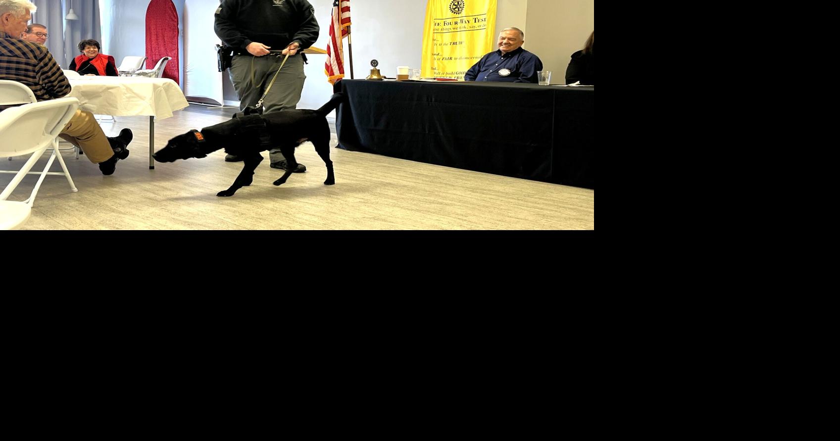 Calhoun Police Department K-9 Dug to Get Body Armor Donation | Local ...