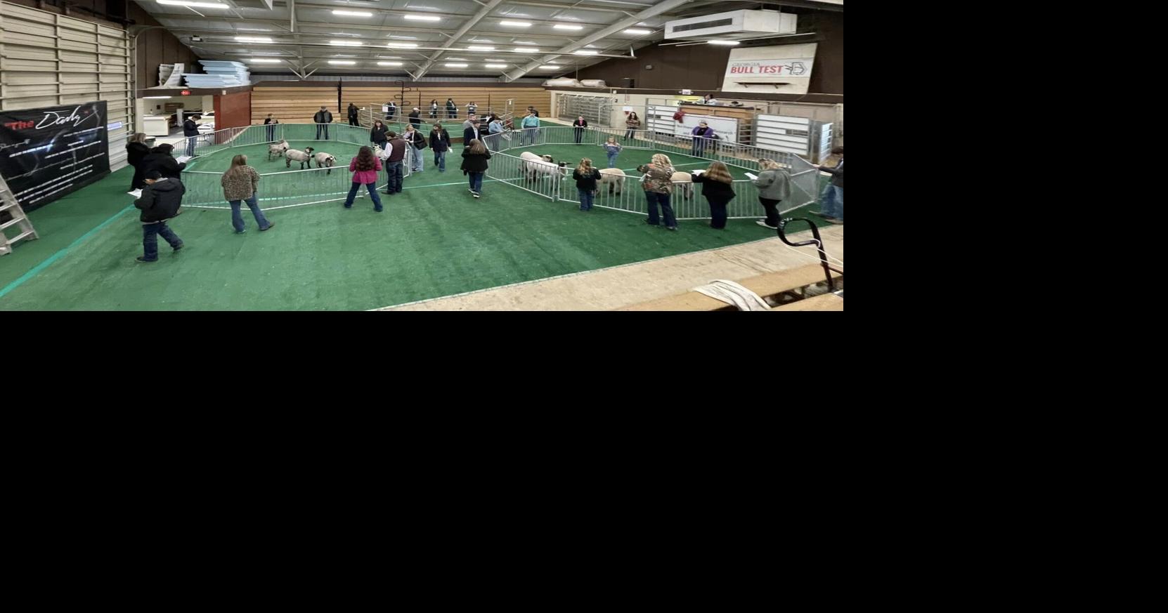 "The Darby" Draws 62 Students for Livestock Judging Contests | Gordon ...