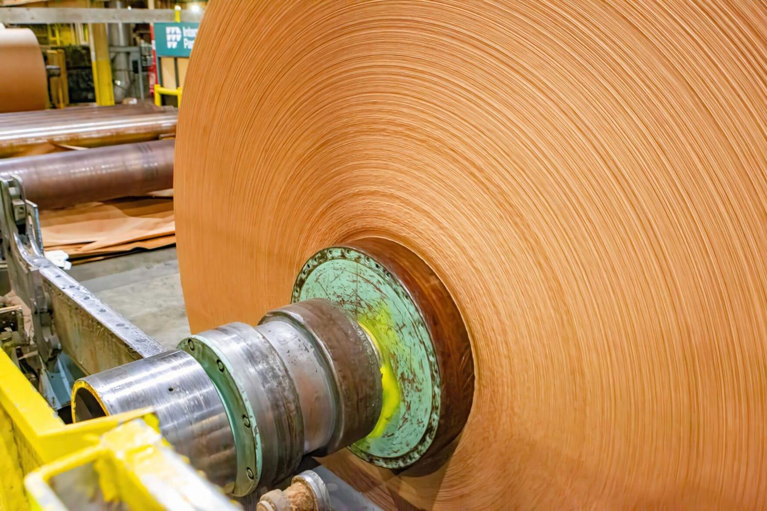 Paper, Pride, and Progress: 70 Years at International Paper's Coosa ...