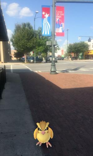 Pokemon in downtown Rome | | northwestgeorgianews.com