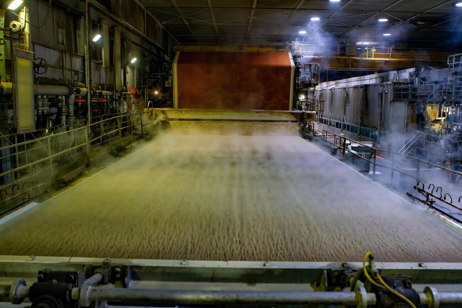 Paper, Pride, and Progress: 70 Years at International Paper's Coosa ...