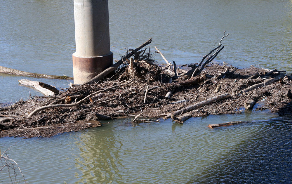 River debris | Gallery | northwestgeorgianews.com
