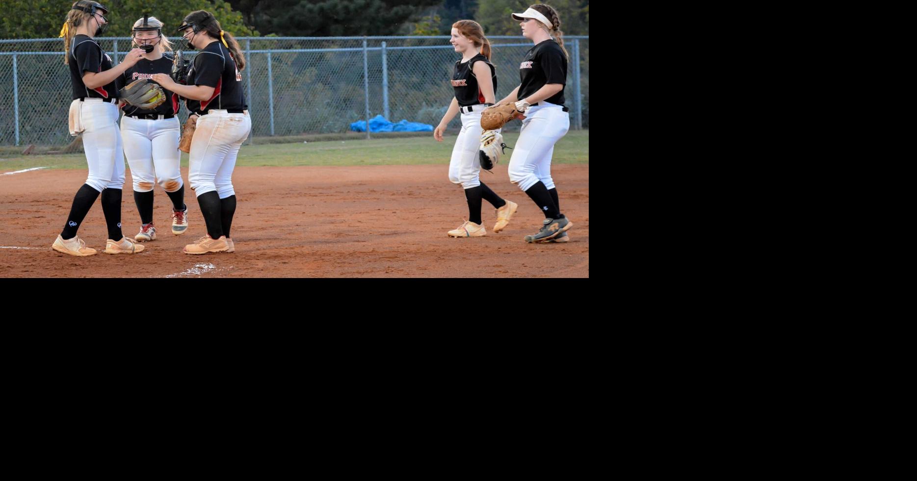 Sonoraville Lady Phoenix see season end in second round | The Calhoun ...