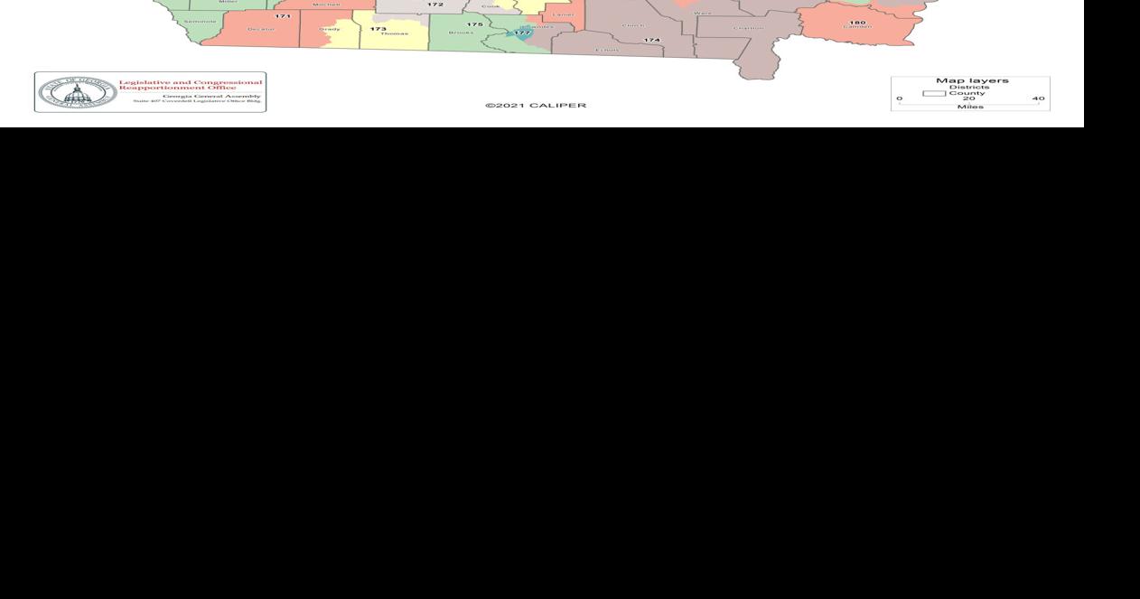 New Georgia House Map Fits Spirit But Not Letter of Court Order | Local ...