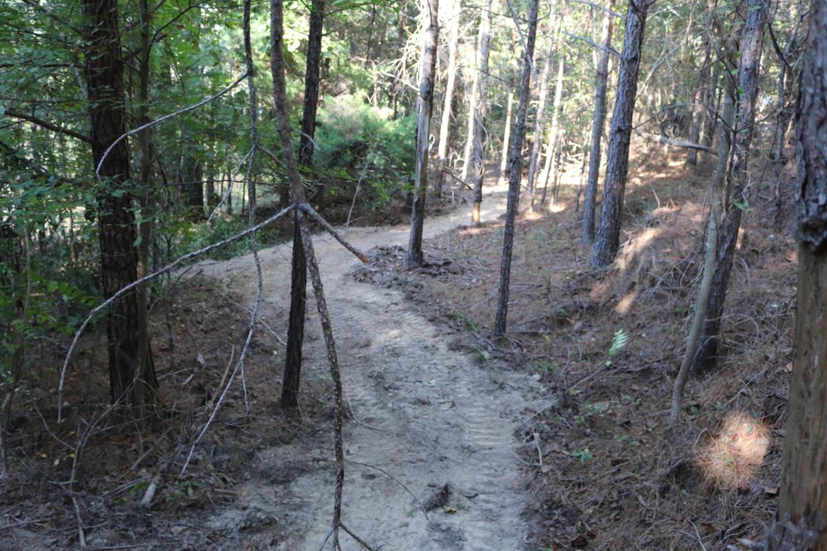 Fast and fun: Trail builder putting together Pinhoti trail re-route ...