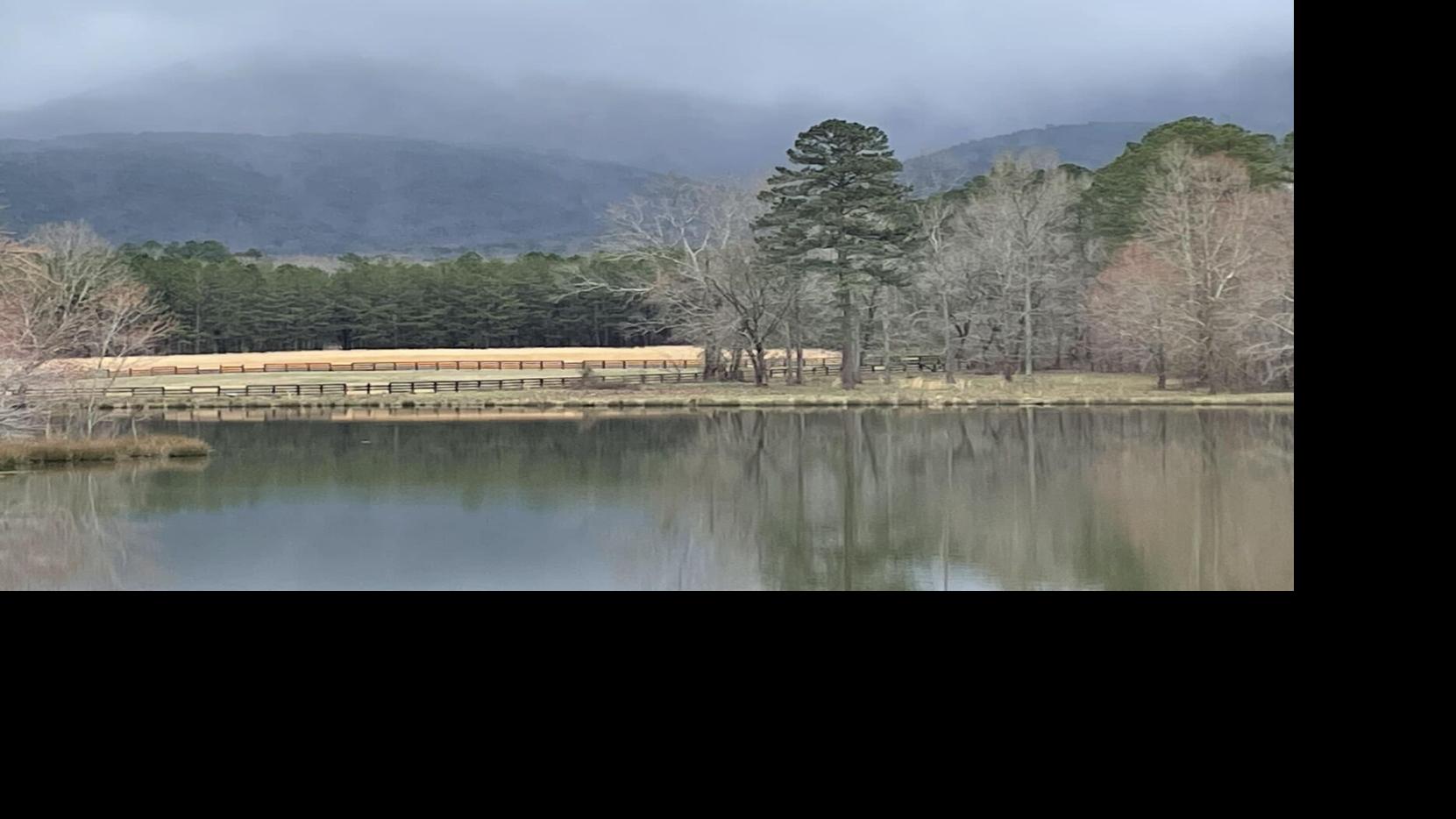 Swanson Sitting Service | Small Business Snapshot ...