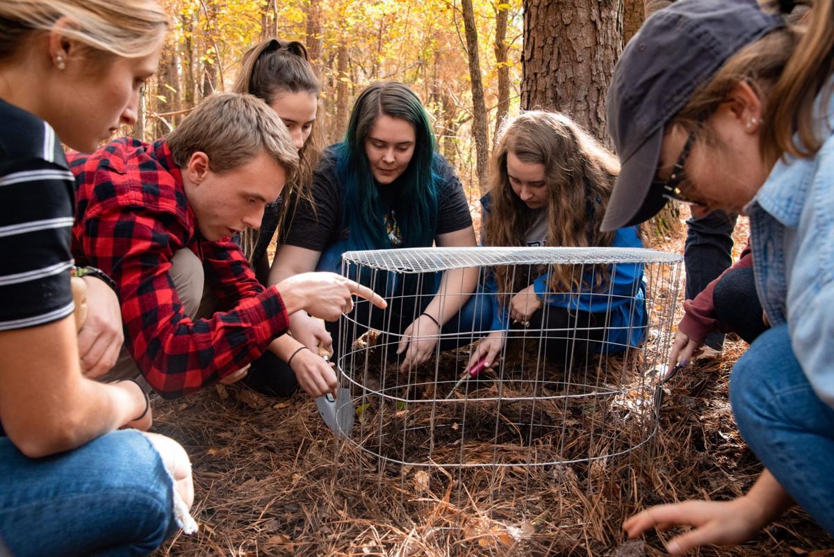 Berry College students cultivate endangered plant species on campus ...